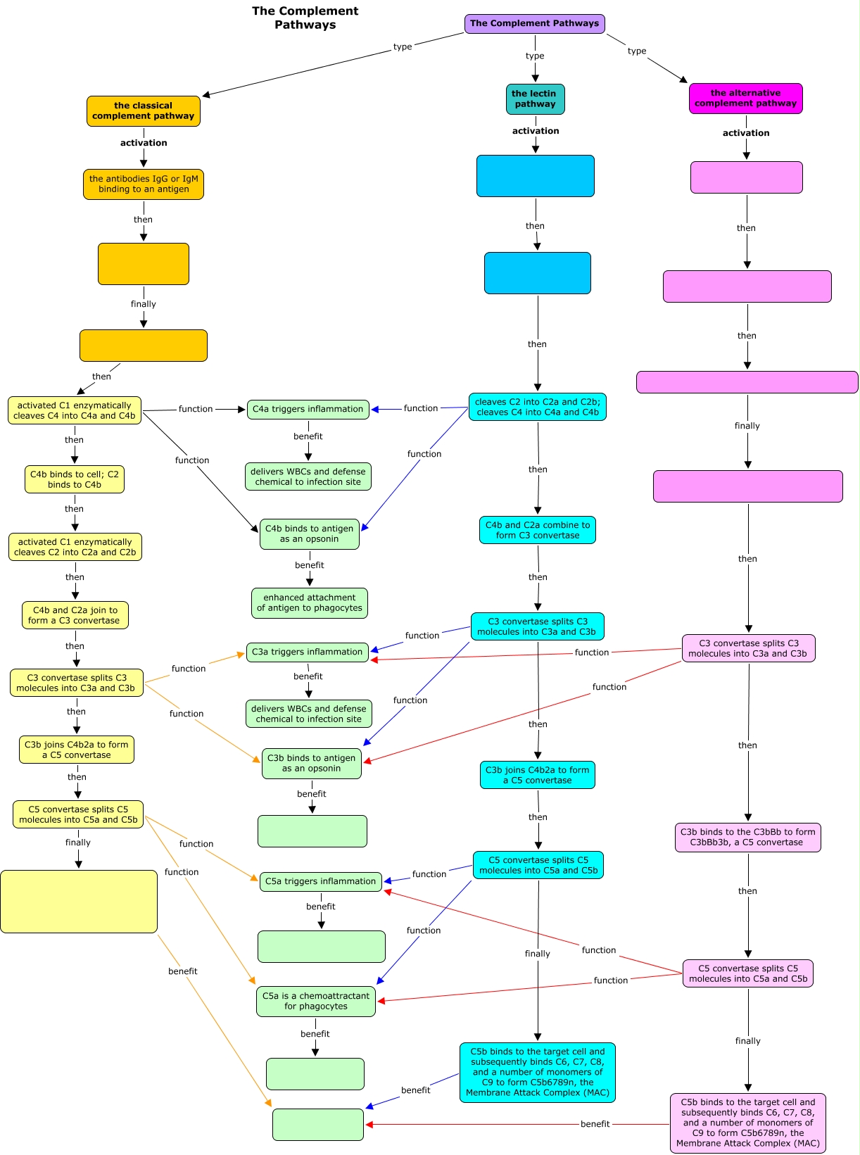 complement_pathways.html
